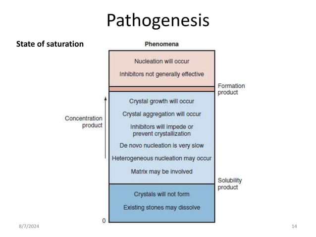 urinary lithiasis etiology , pathogenesis, types of urinary lithiasis .pptx