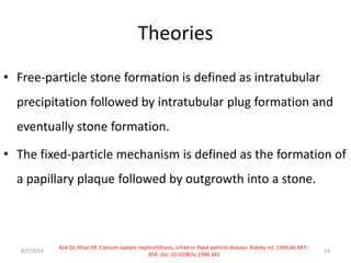 urinary lithiasis etiology , pathogenesis, types of urinary lithiasis .pptx