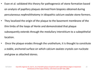 urinary lithiasis etiology , pathogenesis, types of urinary lithiasis .pptx