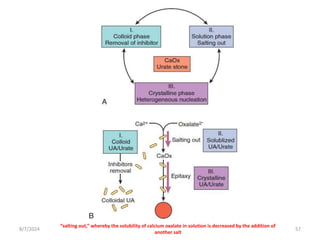 urinary lithiasis etiology , pathogenesis, types of urinary lithiasis .pptx
