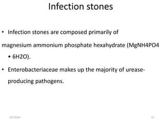 urinary lithiasis etiology , pathogenesis, types of urinary lithiasis .pptx