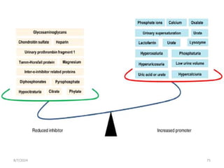 urinary lithiasis etiology , pathogenesis, types of urinary lithiasis .pptx