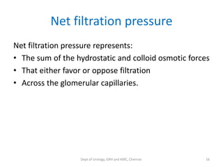 Urinary obstruction pathophysiology | PDF