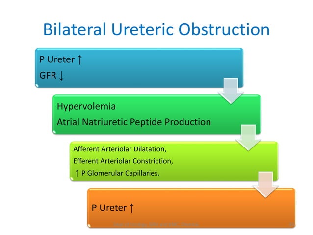 Urinary obstruction pathophysiology | PDF