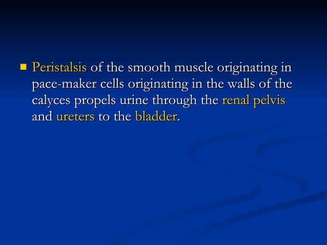 Urinary pathology | PPT