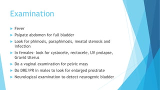 Urinary Retention.pptx