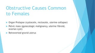 Urinary Retention.pptx