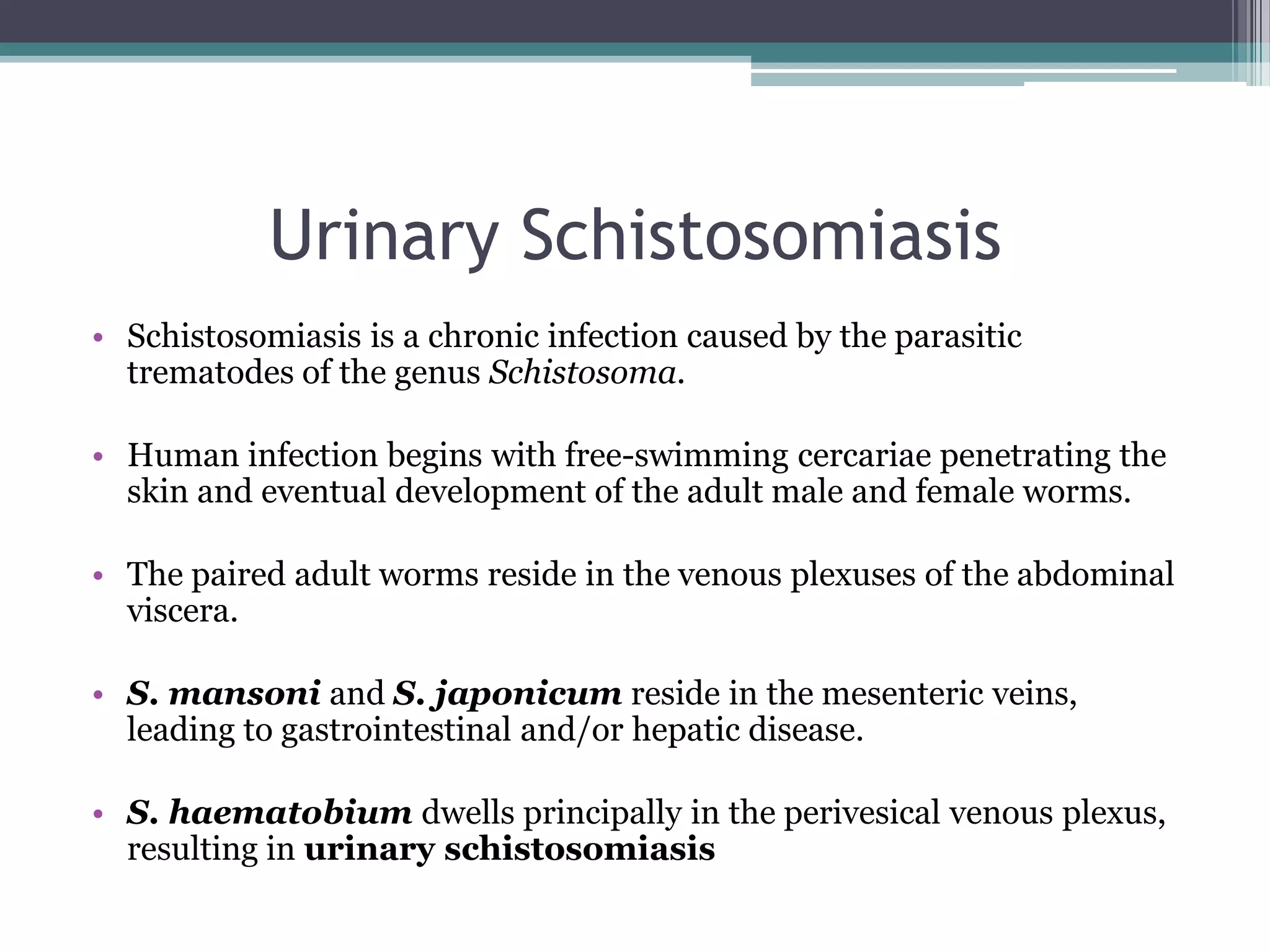 Urinary schistosomiasis | PPTX