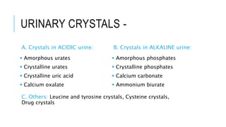 Urinary sediments under microscopic examination | PPTX