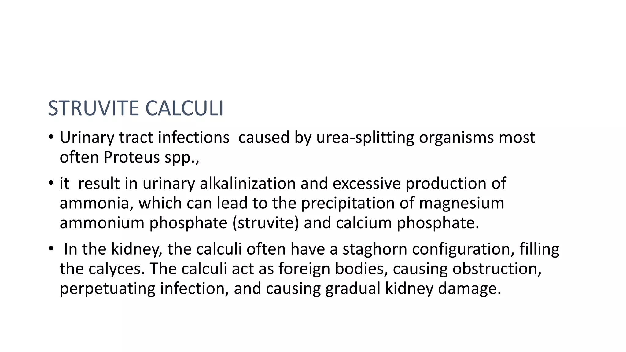 URINARY STONE DISEASE.pptx