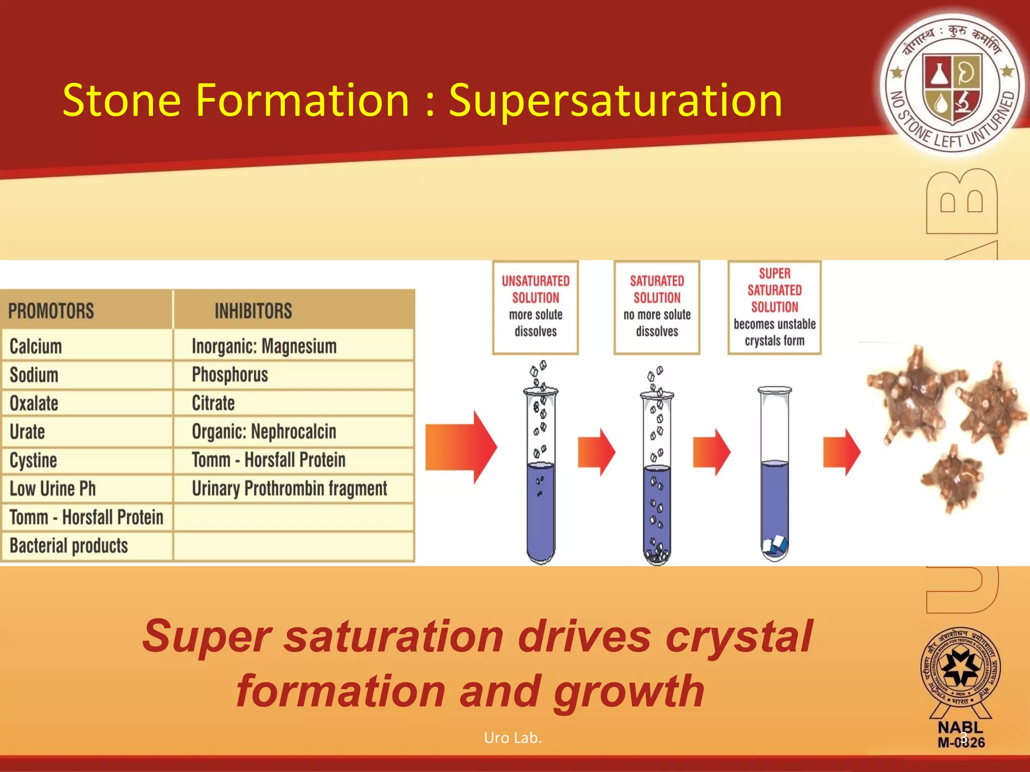 Urinary Stone disease : Metabolic work up and its significaance | PPT