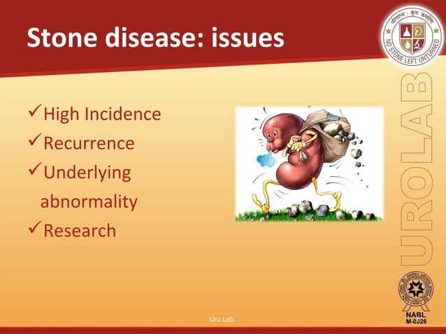 Urinary Stone disease : Metabolic work up and its significaance | PPT