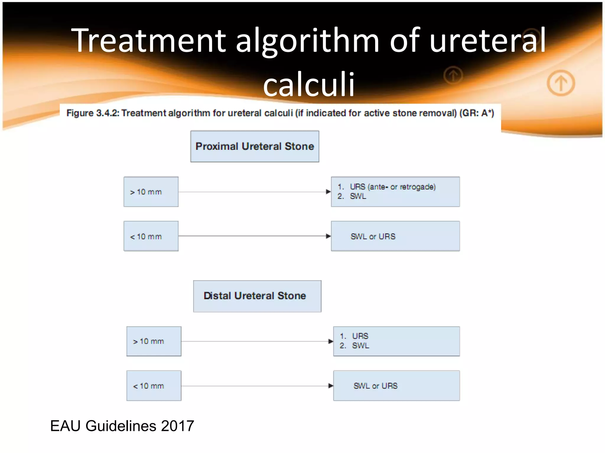 Urinary Stone Management and Infection.pptx