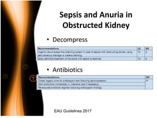 Urinary Stone Management and Infection.pptx