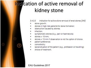 Urinary Stone Management and Infection.pptx