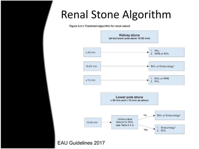 Urinary Stone Management and Infection.pptx