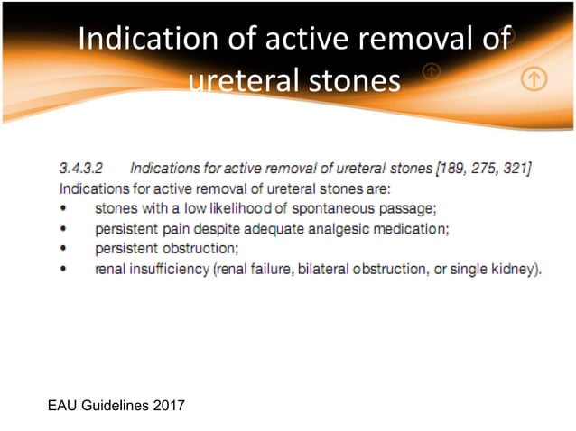 Urinary Stone Management and Infection.pptx