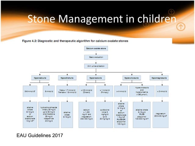 Urinary Stone Management and Infection.pptx
