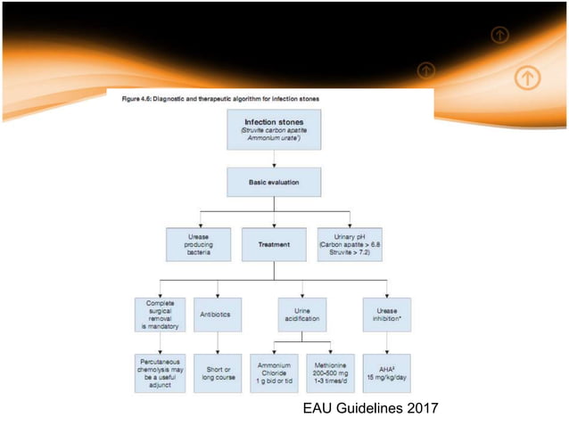Urinary Stone Management and Infection.pptx