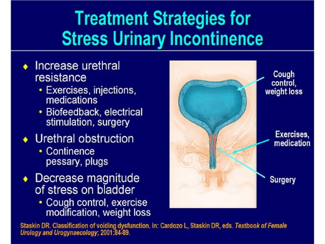 Urinary STRESS Incontinence Copy.pdf