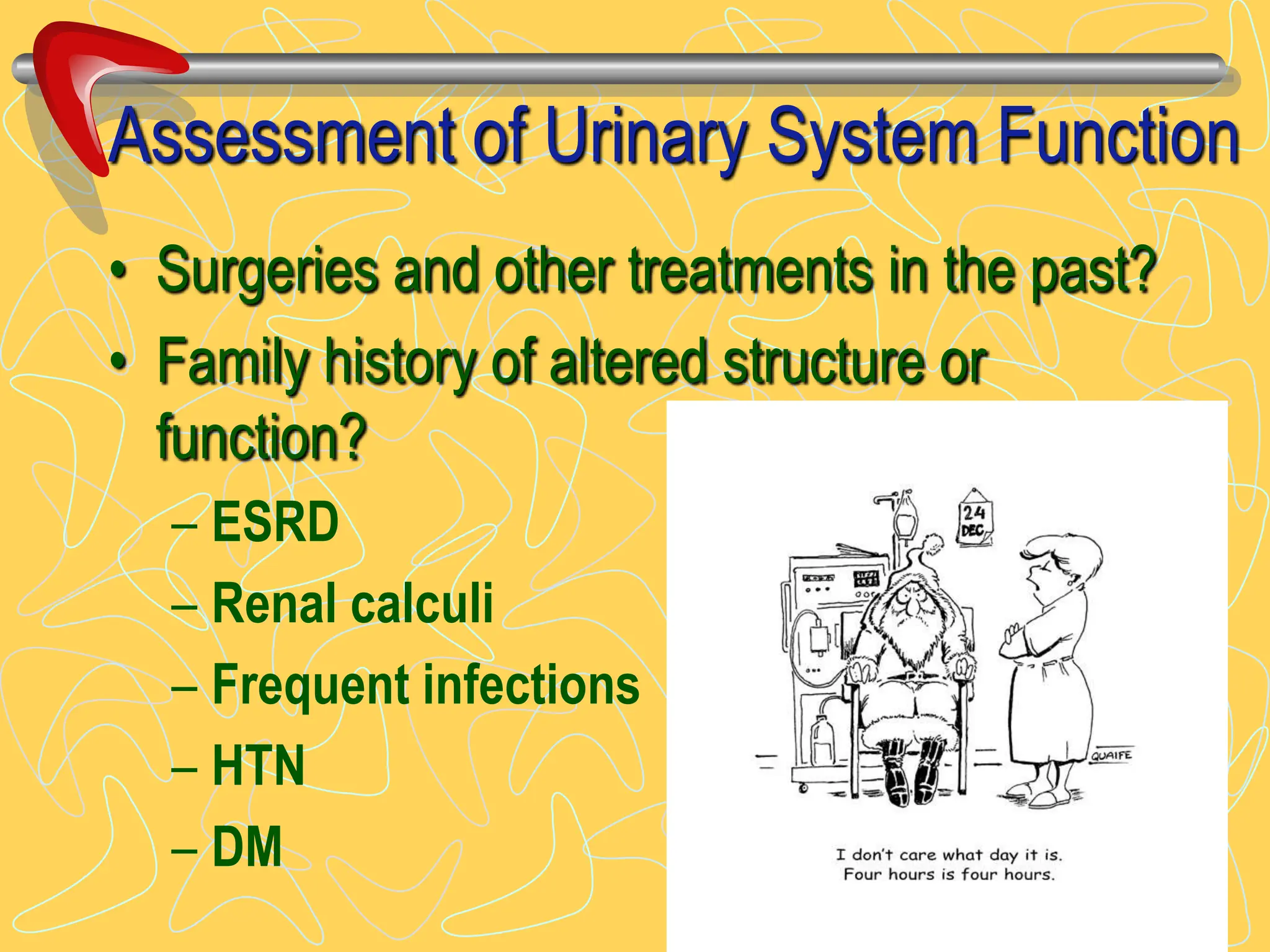 URINARY SYSTEM -1.ppt