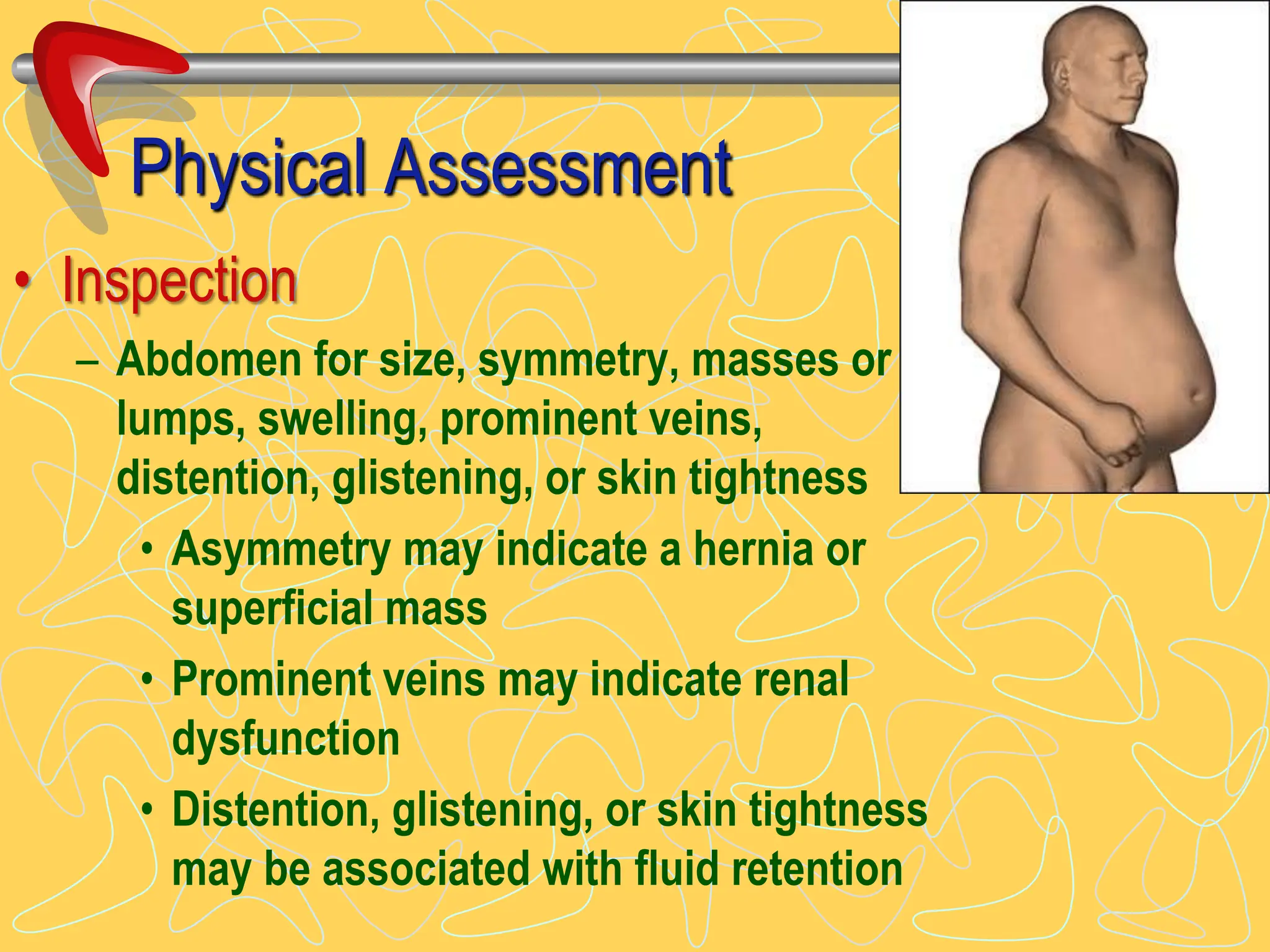 URINARY SYSTEM -1.ppt