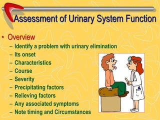 URINARY SYSTEM -1.ppt