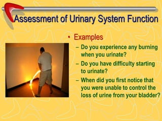 URINARY SYSTEM -1.ppt