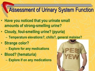 URINARY SYSTEM -1.ppt