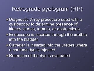 Urinary system | PPT