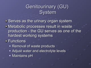 Urinary system | PPT