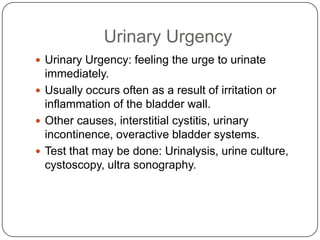 Urinary System | PPT