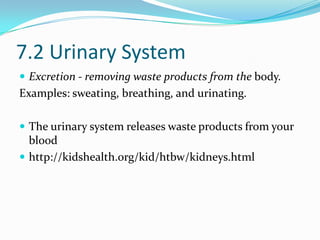 Urinary system | PPTX
