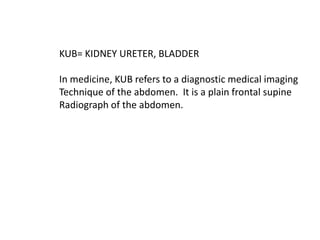 Urinary system | PPSX | Medical Health