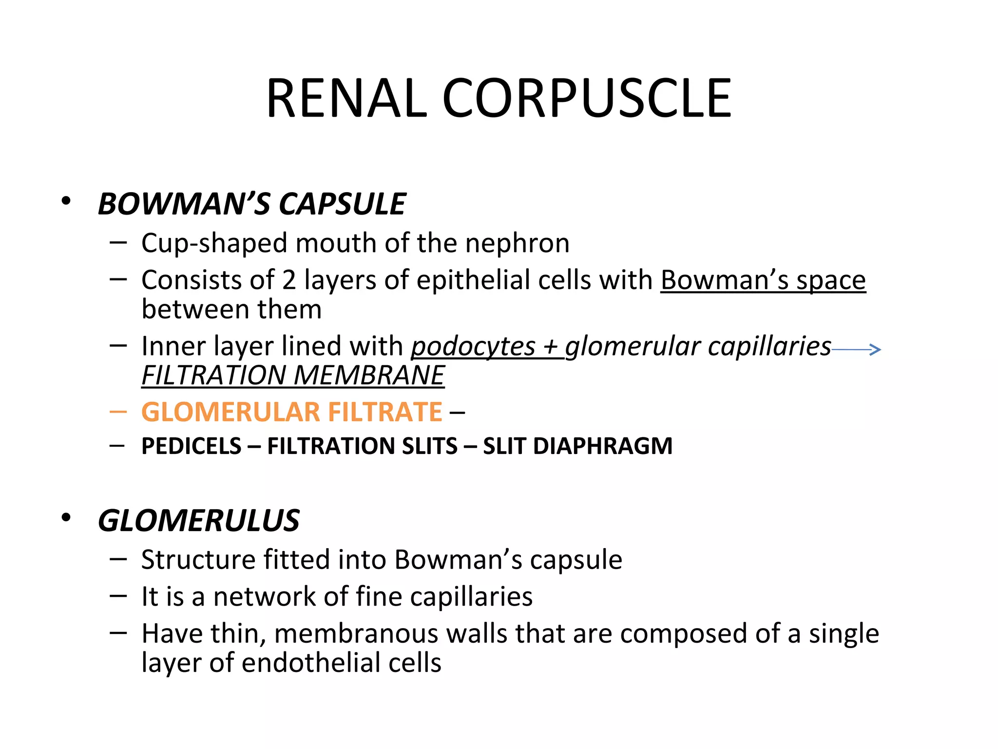 Urinary system | PPT