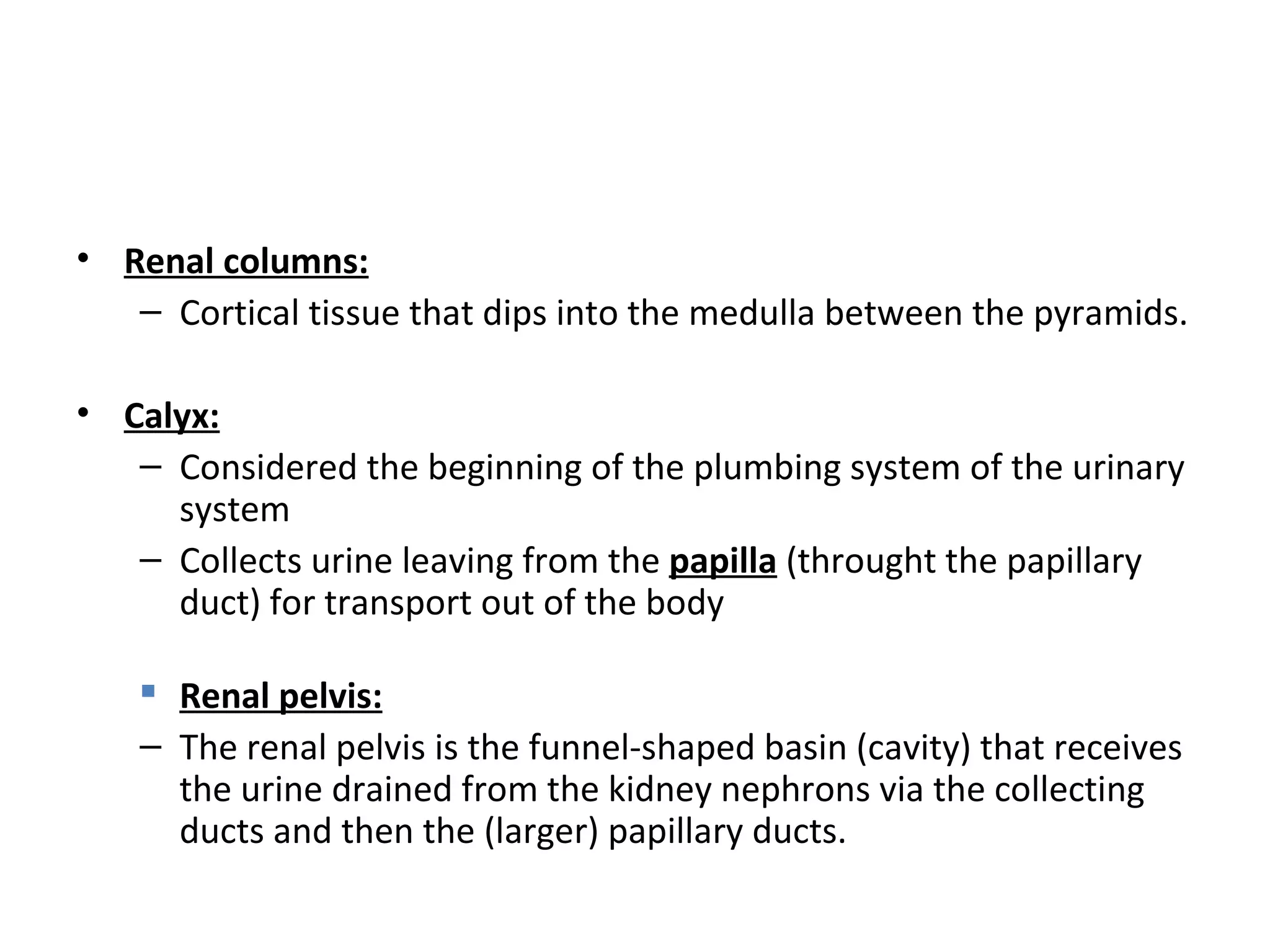 Urinary system | PPT