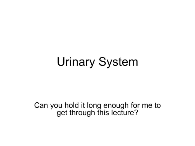 Urinary system | PPT