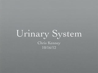 Urinary system | KEY