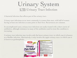 Urinary system | KEY