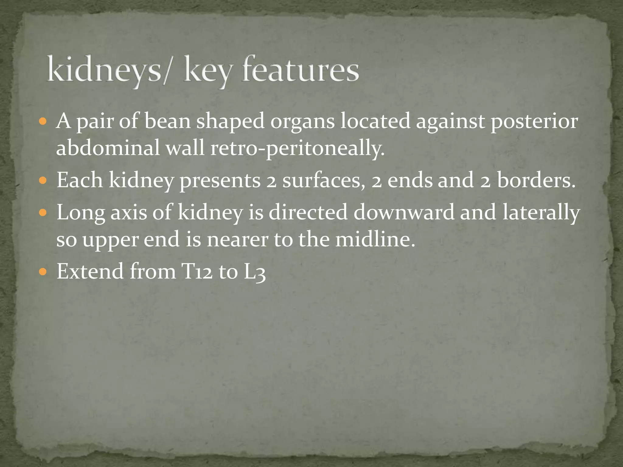 Gross anatomy of Urinary System | PPTX