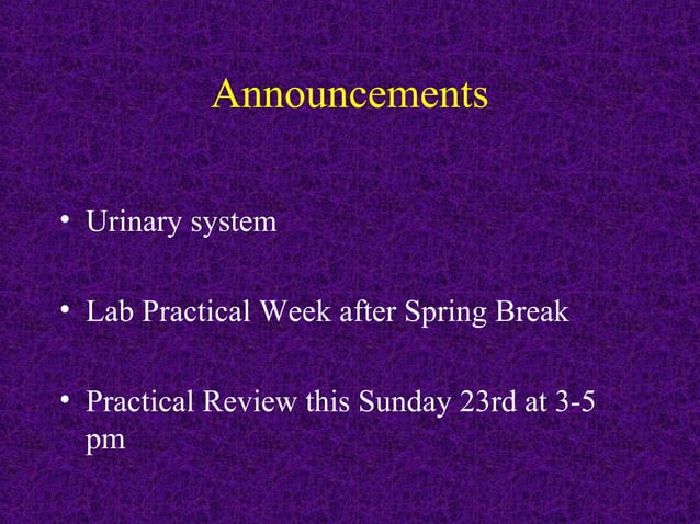 Urinary System | PPT