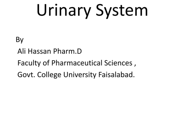 Anatomy of Urinary System ppt | PPTX