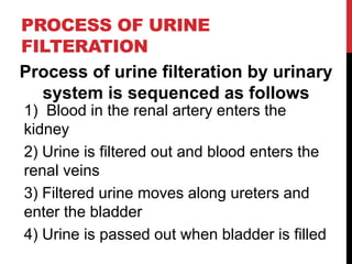 Urinary system | PPTX
