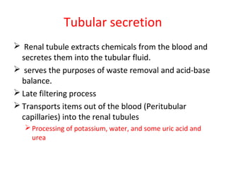 Urinary system | PPT
