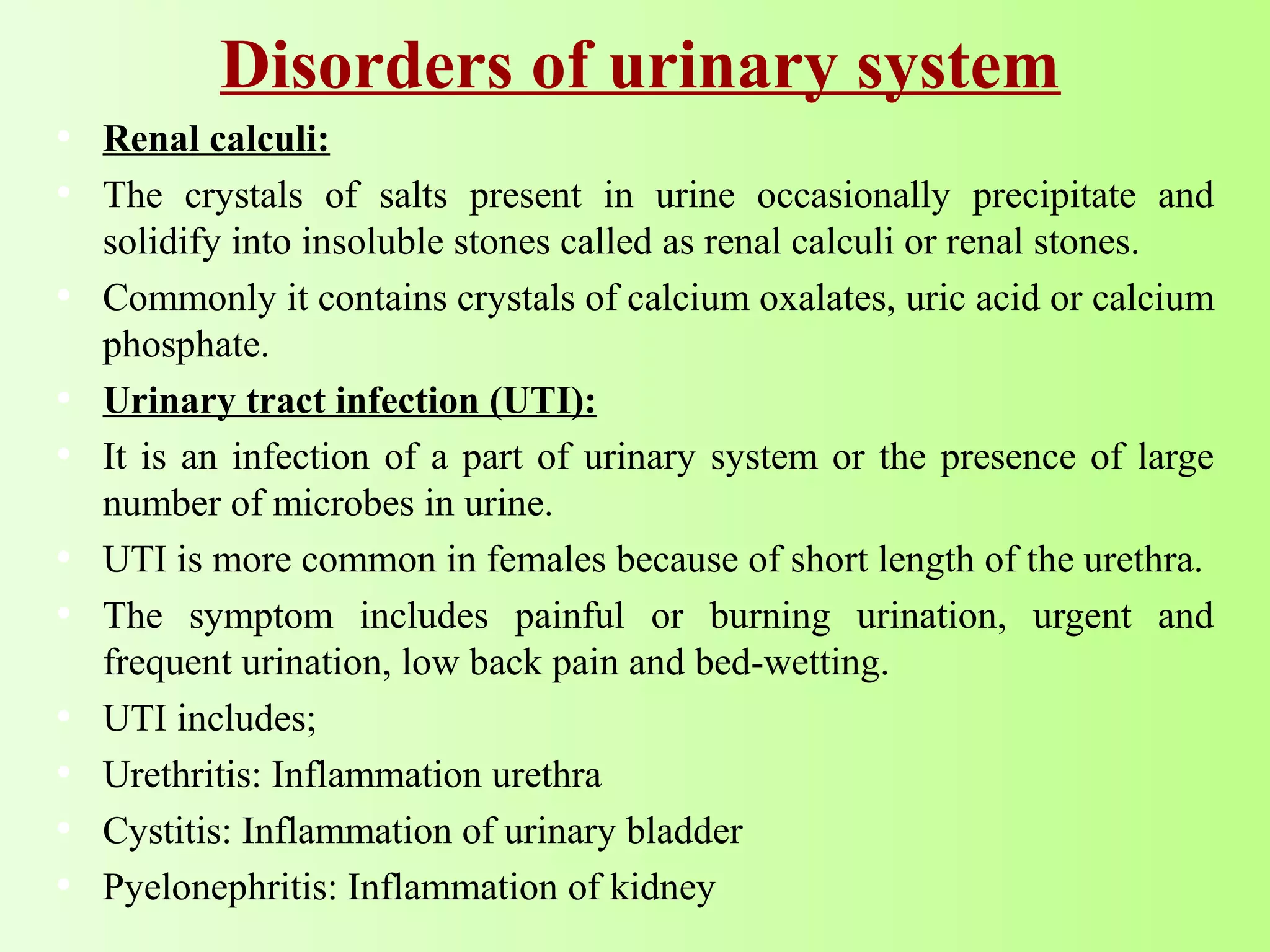 Urinary system | PPT