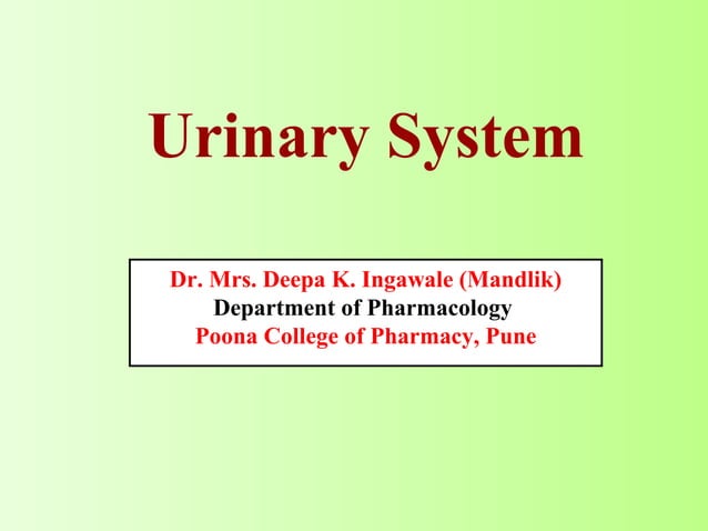 Urinary system | PPT