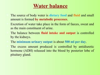 Urinary system | PPT