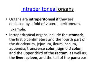 Urinary system | PPT