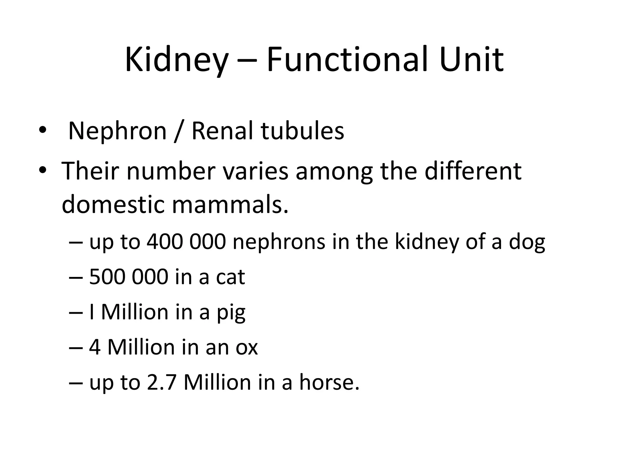 Veterinary Anatomy of Urinary system and specie difference between ...