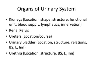 Veterinary Anatomy of Urinary system and specie difference between ...